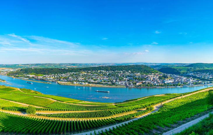 Die 13 deutschen Weinanbaugebiete: Rheingau | Silkes Weinblatt